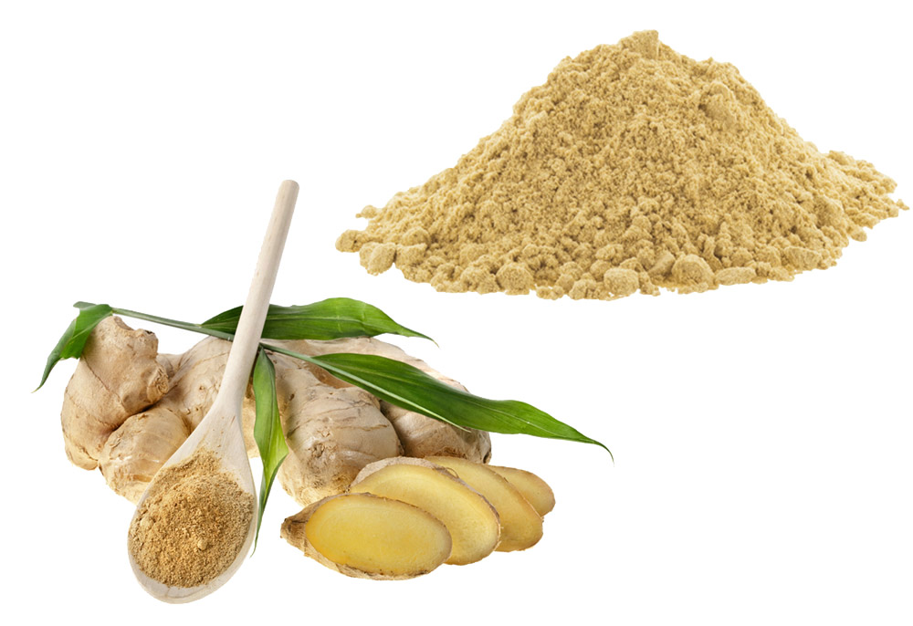 Ginger Powder - House of Spices